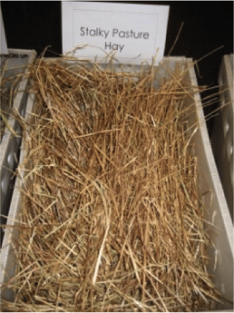 Feeding the Easy Keeper