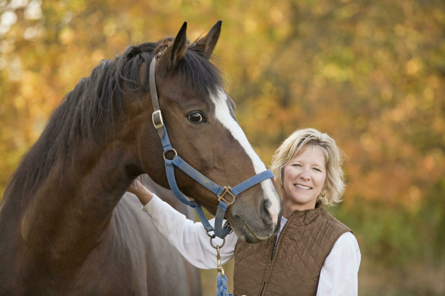 Horse Nutrition Calculator | FeedXL.com