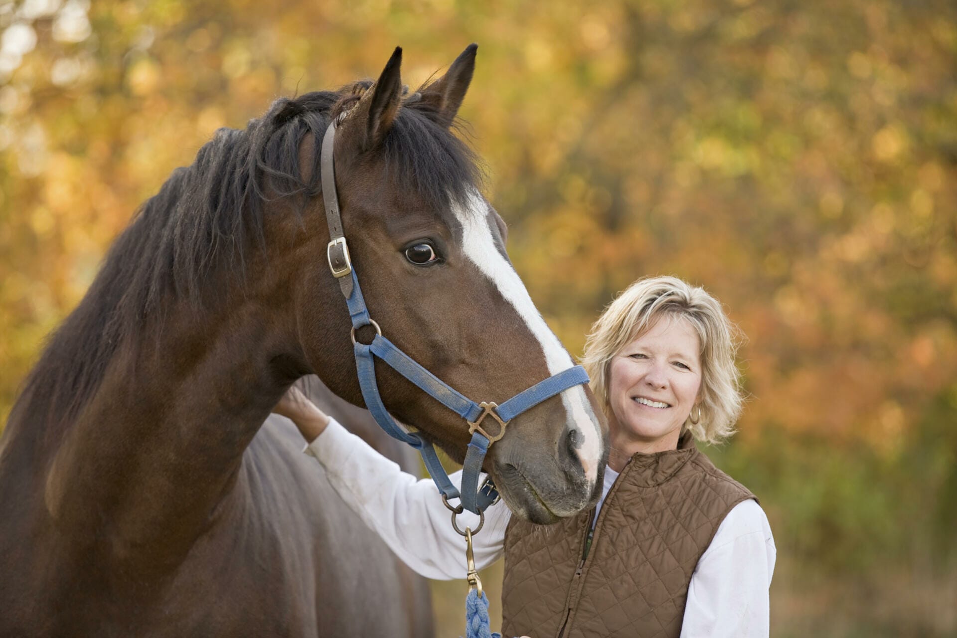 Horse Nutrition Calculator | FeedXL.com